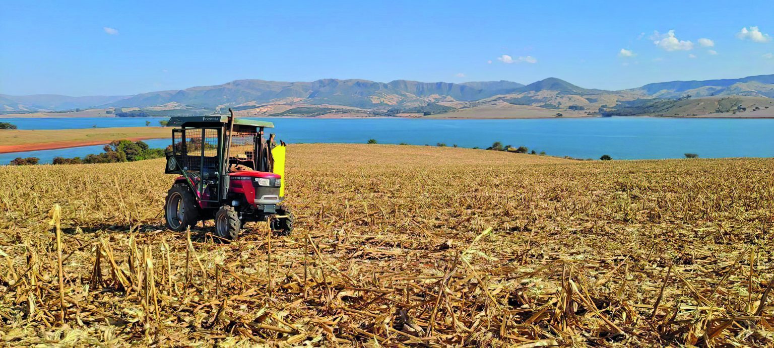 Cultivando a longevidade do canavial - Coopercitrus Cooperativa Agrícola